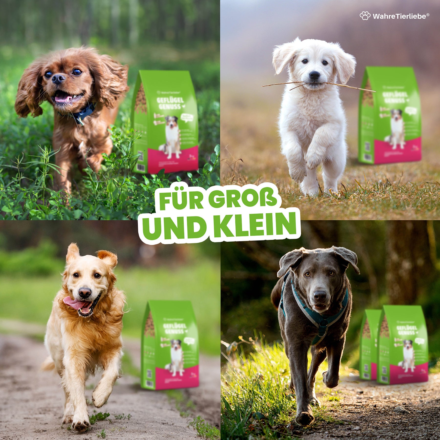 Premium Hundefutter "Geflügel Genuss" – Wahre Tierliebe