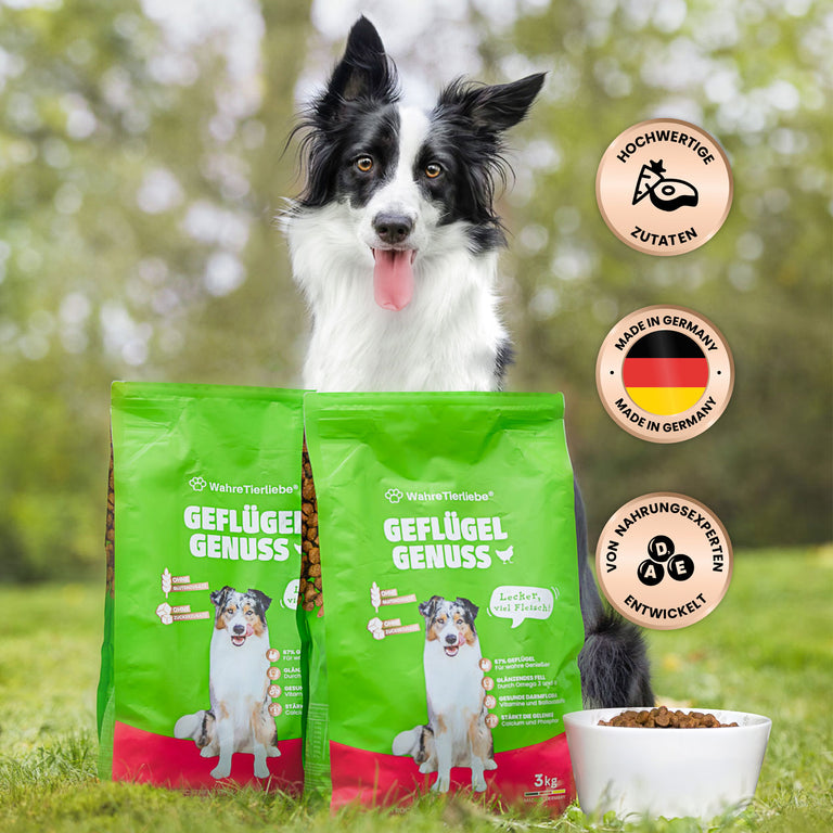 Hundefutter Online Shop